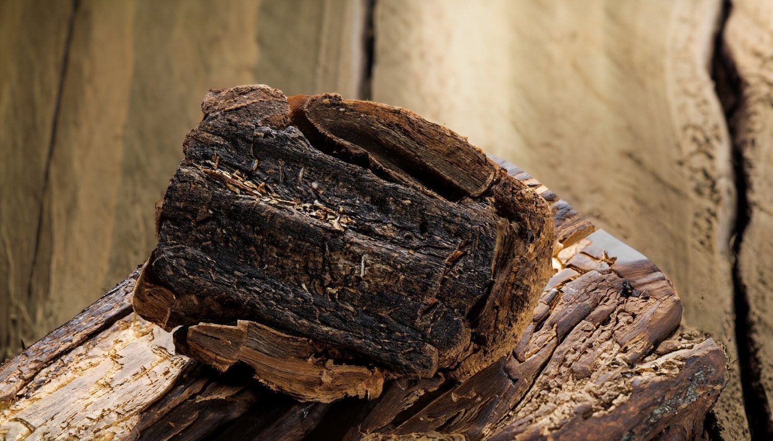 The True Value of Agarwood - Understanding it Right - TRẦM HƯƠNG VIỆT ...